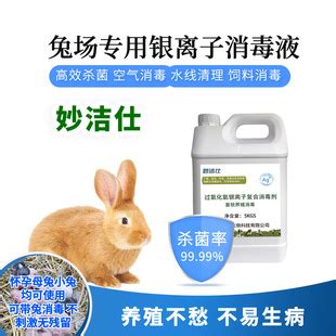 兔场专用食品级过氧化氢银离子消毒液养殖场消毒怀孕母兔小兔真菌 阿里巴巴