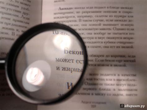 Книга: Лупа (диаметр 40 мм, 10-кратное увеличение) (65655(1216-1 ...