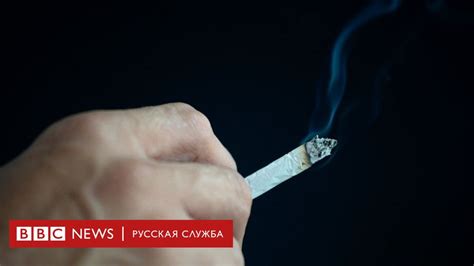 Ученые: "легкие" сигареты могут повышать риск рака - BBC News Русская ...