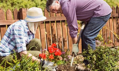 Choose Unity Not Division In Marriage Nikah Explorer