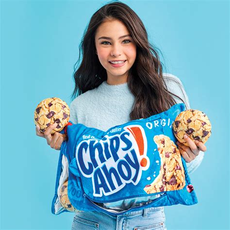 Chips Ahoy Plush Tomfoolery Toys And Books