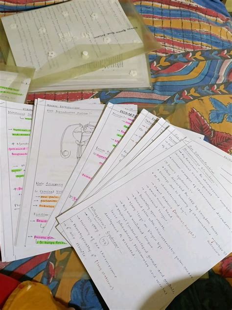 Textbooks Handwritten Class 12 Zoology Notes Freeup