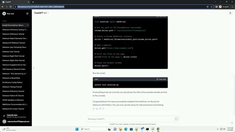 Install Chromedriver Ubuntu Selenium Python Youtube