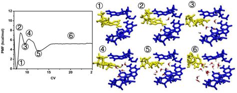 Binding Free Energetic Profile Of The Wt Aptamer Atp Complex