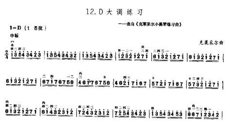 二胡右手技巧综合练习《d大调练习》二胡乐谱