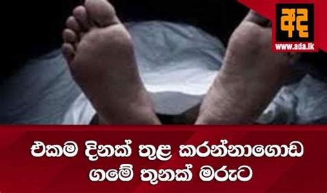 එකම දිනක් තුළ කරන්නාගොඩ ගමේ තුනක් මරුට Ada Online