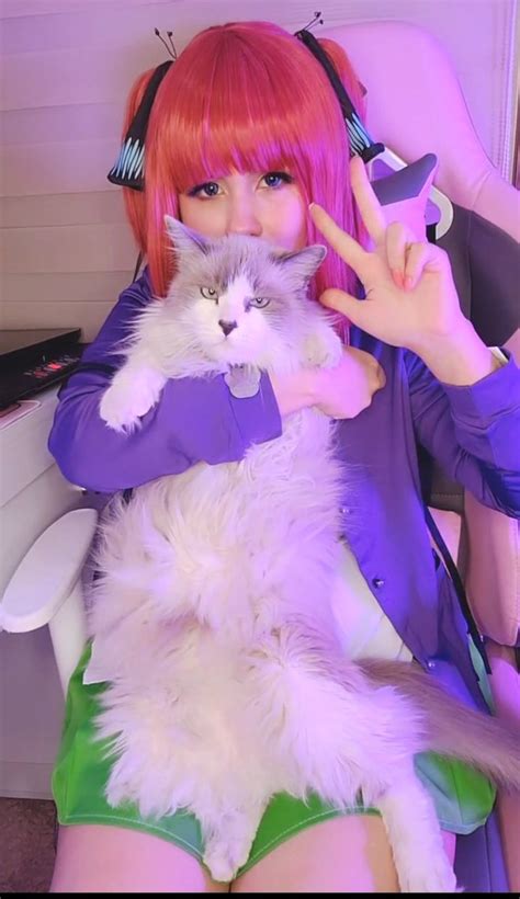 Soyrabbit Exe On Twitter Gato Enojado Uwu