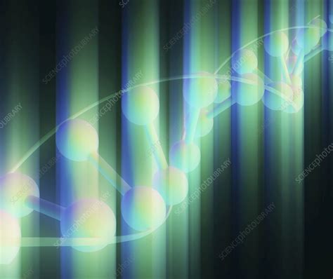 Dna Molecule Computer Artwork Stock Image F0054892 Science