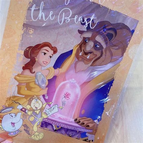 現貨🇯🇵日本 絕版美女與野獸a4 File Beauty And The Beast Fileクリア Tinyzakkaya