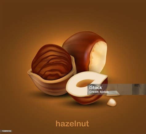 개 암 갈색 바탕에 3 차원 벡터입니다 높은 상세한 현실적인 그림 0명에 대한 스톡 벡터 아트 및 기타 이미지 0명 갈색 건강한 생활방식 Istock