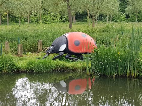 Big Bug By Violetmarshmallows On Deviantart