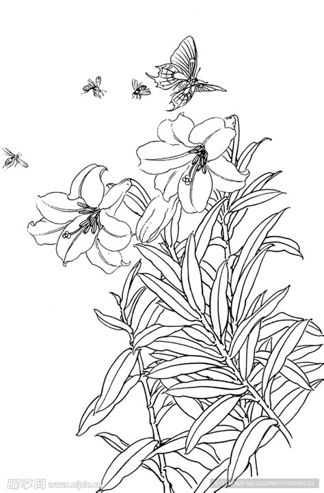 白描花卉设计图绘画书法文化艺术设计图库昵图网