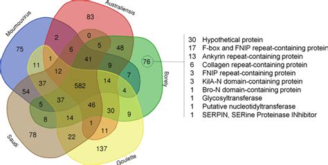 Pan Genome Analysis This Analysis Was Performed Involving The Proteome
