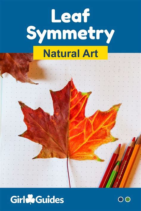 Symmetry Activities To Engage Learners Artofit