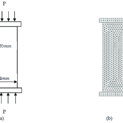 Geometrical And Numerical Model Of Uniaxial Compression Test A Download Scientific Diagram