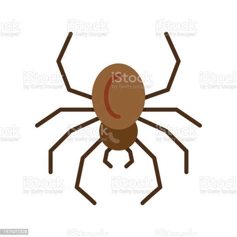 족두리 아이콘크기 0명에 대한 스톡 벡터 아트 및 기타 이미지 0명 거미 곤충 Istock