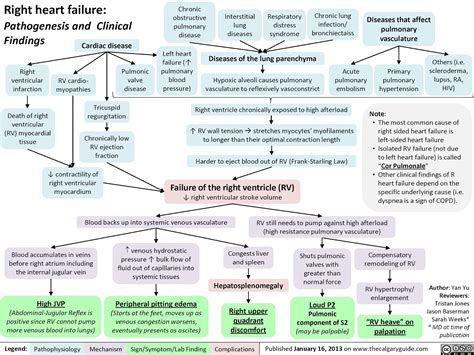 Congestive Heart Failure Etiology Symptoms Causes Types Treatment