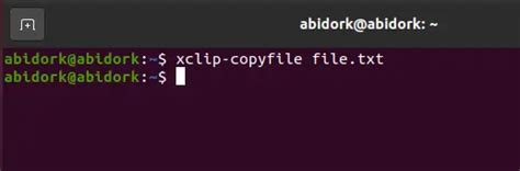 在 Linux 中复制到从剪贴板 D栈 Delft Stack