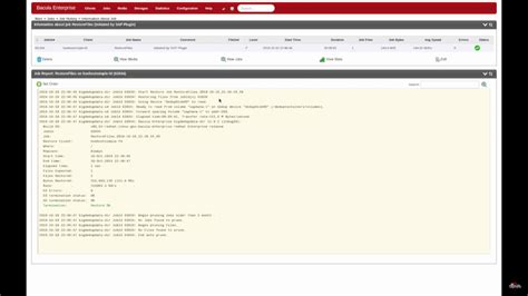Backup E Ripristino Nativi Di Sap Hana Backup Di Sap Hana Con Bacula