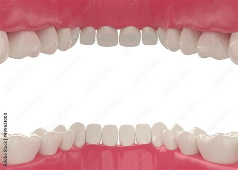 Human Oral Cavity With Healthy White Teeth Inside An Open Mouth Inside