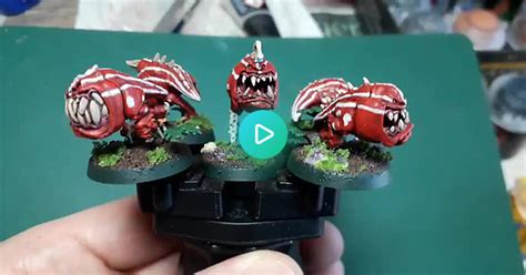 Squigs Based Off Anthonys Poison Dart Frog Album On Imgur