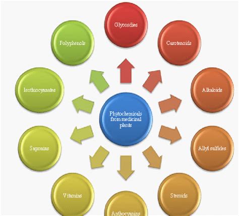 Phytochemicals From Medicinal Plants Download Scientific Diagram