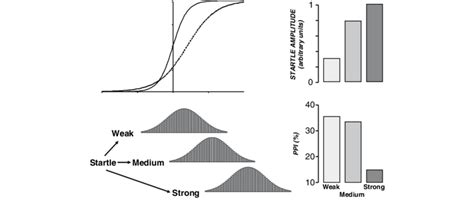 Illustration Of The Model Construct The Graph At The Top Of The Page
