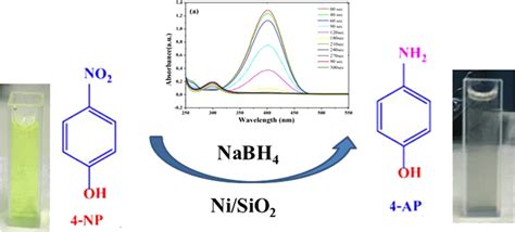 Set Up Of Catalytic Reduction Of 4 Np Download Scientific Diagram