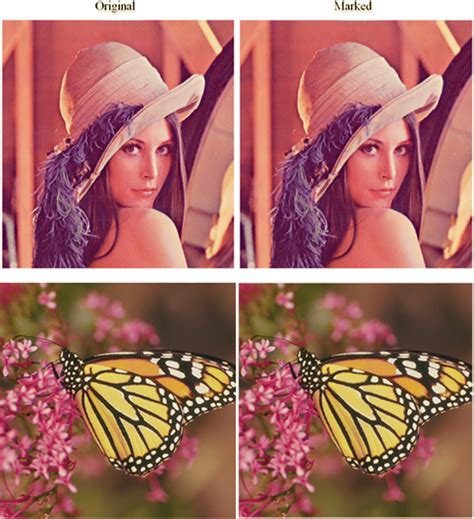 Lena And Monarch Image Original Vs 130000 Embedded Bits Download