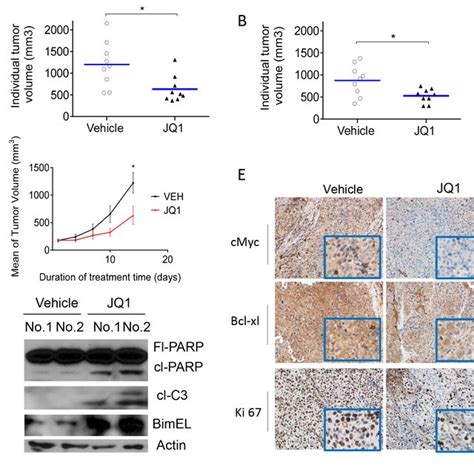 Jq1 Inhibits Human Hcc Cell Proliferation A Human Hcc Cell Lines Were