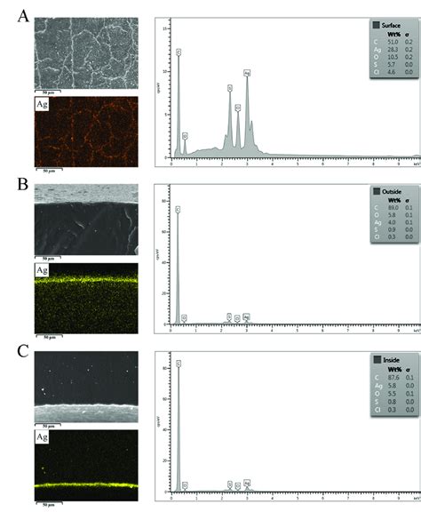 Field Emission Scanning Electron Microscope Micrographs And