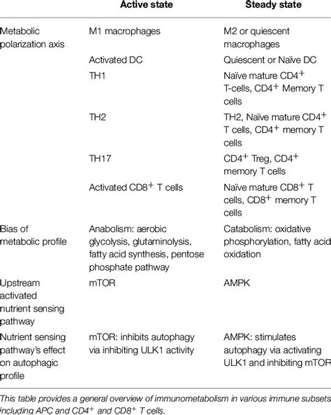 Active And Steady State Metabolic Profiles Of Immune Cells Download Table