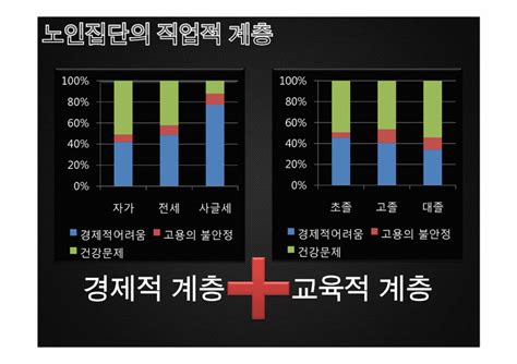연령 불평등 연령주의 사회로 인한 노인의 불평등 사회과학