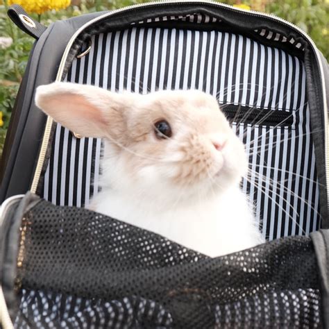 Onenium Zeronium Vods Youtube