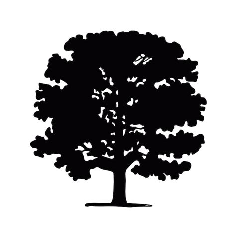 Silhouette Dun Grand Arbre à Feuilles Caduques Illustration Noire De