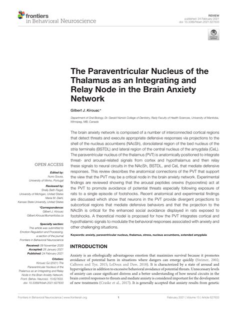 Pdf The Paraventricular Nucleus Of The Thalamus As An Integrating And Relay Node In The Brain