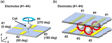 Non Invasive Technology For High Throughput Characterization Of Cancer Cells Manhattan Tribune