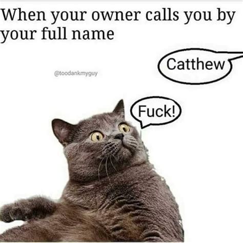 Catt R Matt