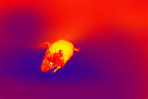 Bolometer Bilder Bläddra Bland 656 Stockfoton Vektorer Och Videor Adobe Stock