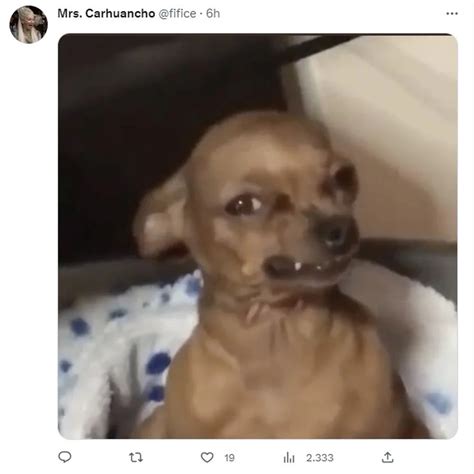 Memes Y Reacciones En Redes Por Los Videos De Mark Vito Con Susy Díaz
