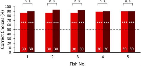 Cross Modal Object Recognition And Dynamic Weighting Of Sensory Inputs