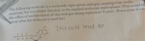 Solved The Following Molecule Is A Nucleotide Triphosphate
