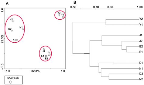 Pca And Cluster Analysis Of Dgge Fingerprint A The Principal Download Scientific Diagram