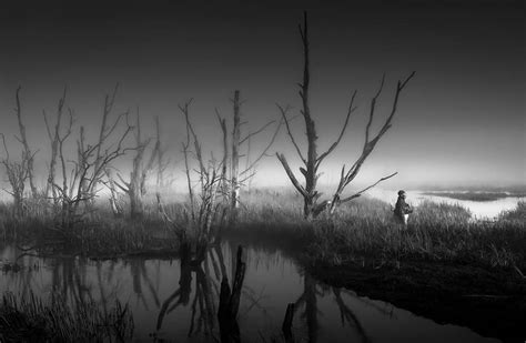 The Art Of Solitude Darrel Rheas Journey Through Quiet Landscapes