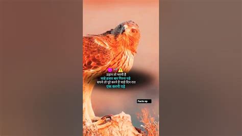 Motivational Facts 🔥💯motivation Motivationalquotes Facts Reels