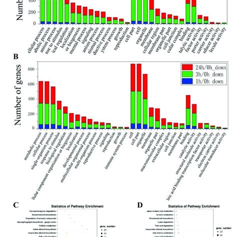 The Differential Responses Of Brassica Napus In Response To Freezing