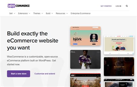 WooCommerce Reviews Check Out The Reviews Of Woocommerce Com