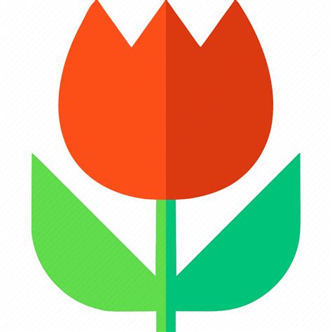 Macro Icon Download On Iconfinder On Iconfinder