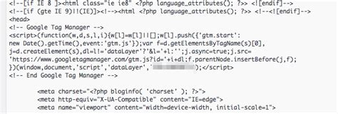 Where To Put Google Tag Manager Code In Wordpress MarketLytics