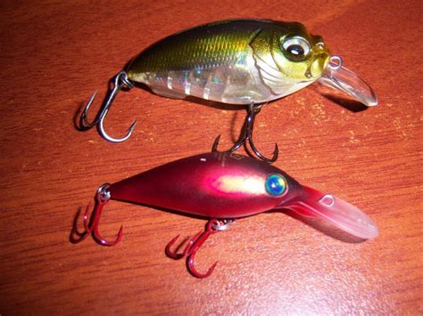 El Chip Bait Atraer Peces De Manera Efectiva